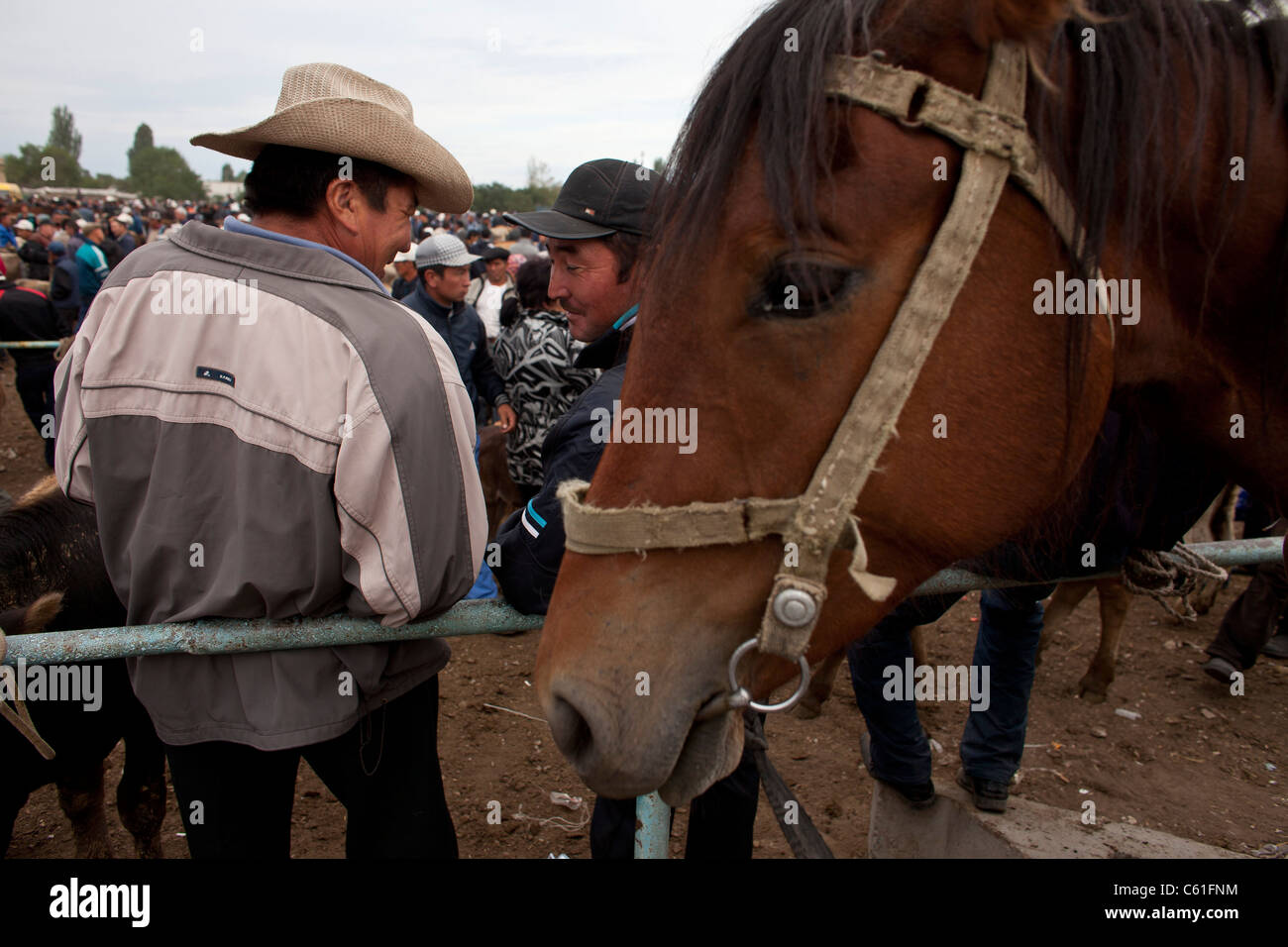 The Sunday animal market (Mal Bazaar) in Karakol, Kyrgyzstan Stock ...