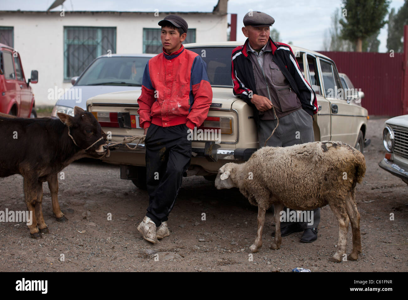 Market mal bazaar hi-res stock photography and images - Alamy