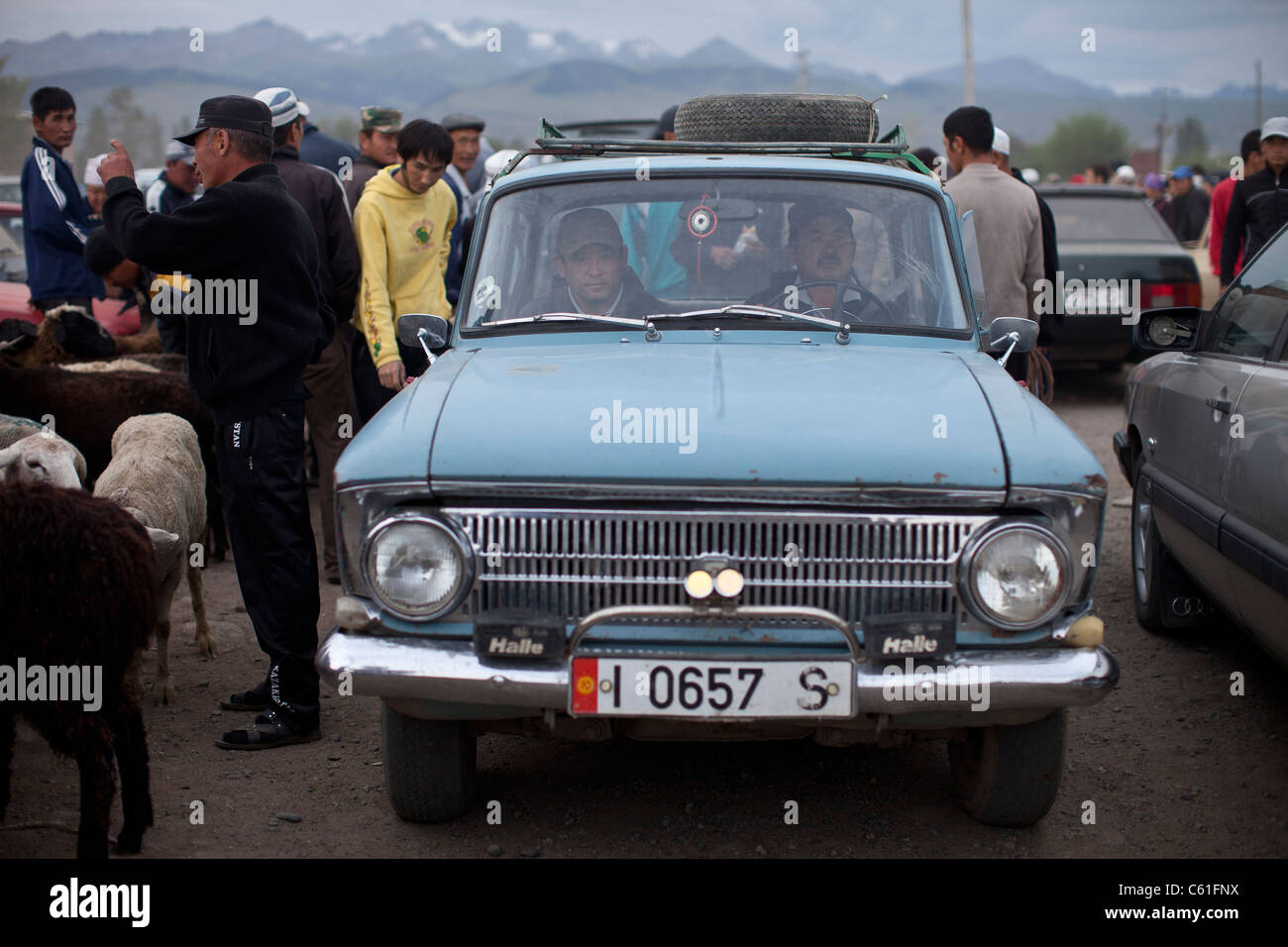 The Sunday animal market (Mal Bazaar) in Karakol, Kyrgyzstan Stock ...
