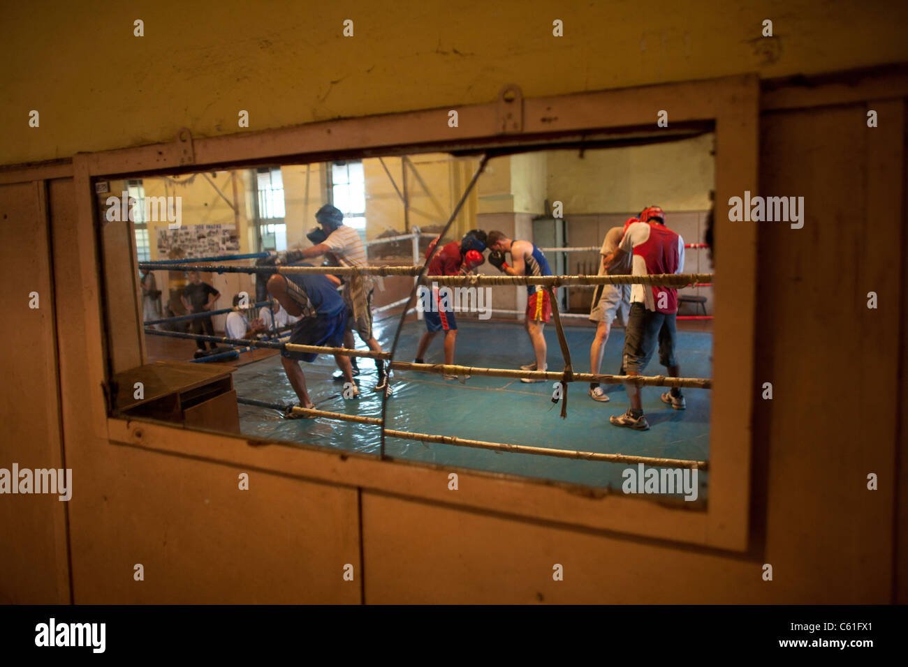 International fight club boxing in Bishkek, Kyrgyzstan Stock Photo - Alamy