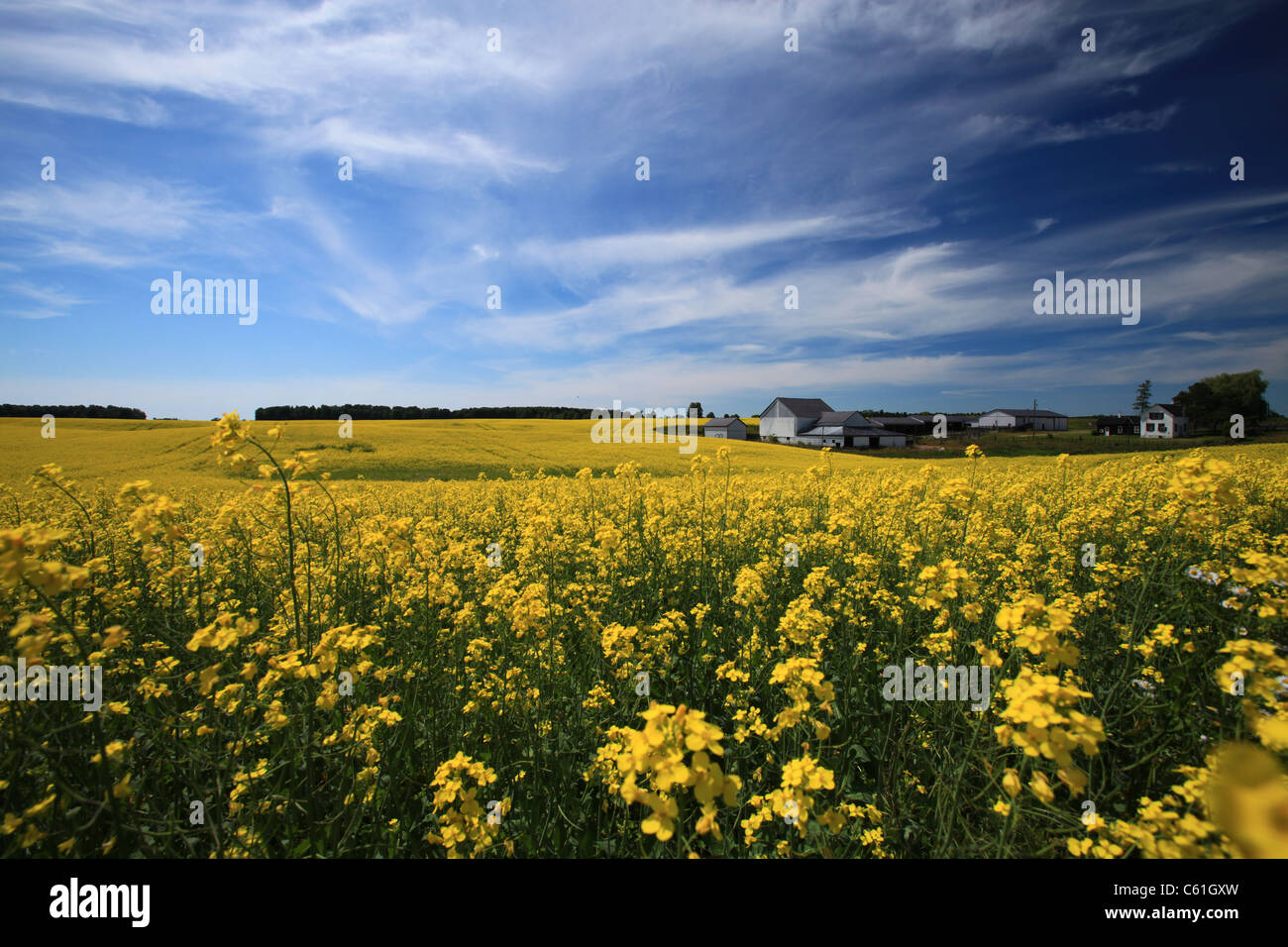 Arthur Ontario High Resolution Stock Photography and Images - Alamy