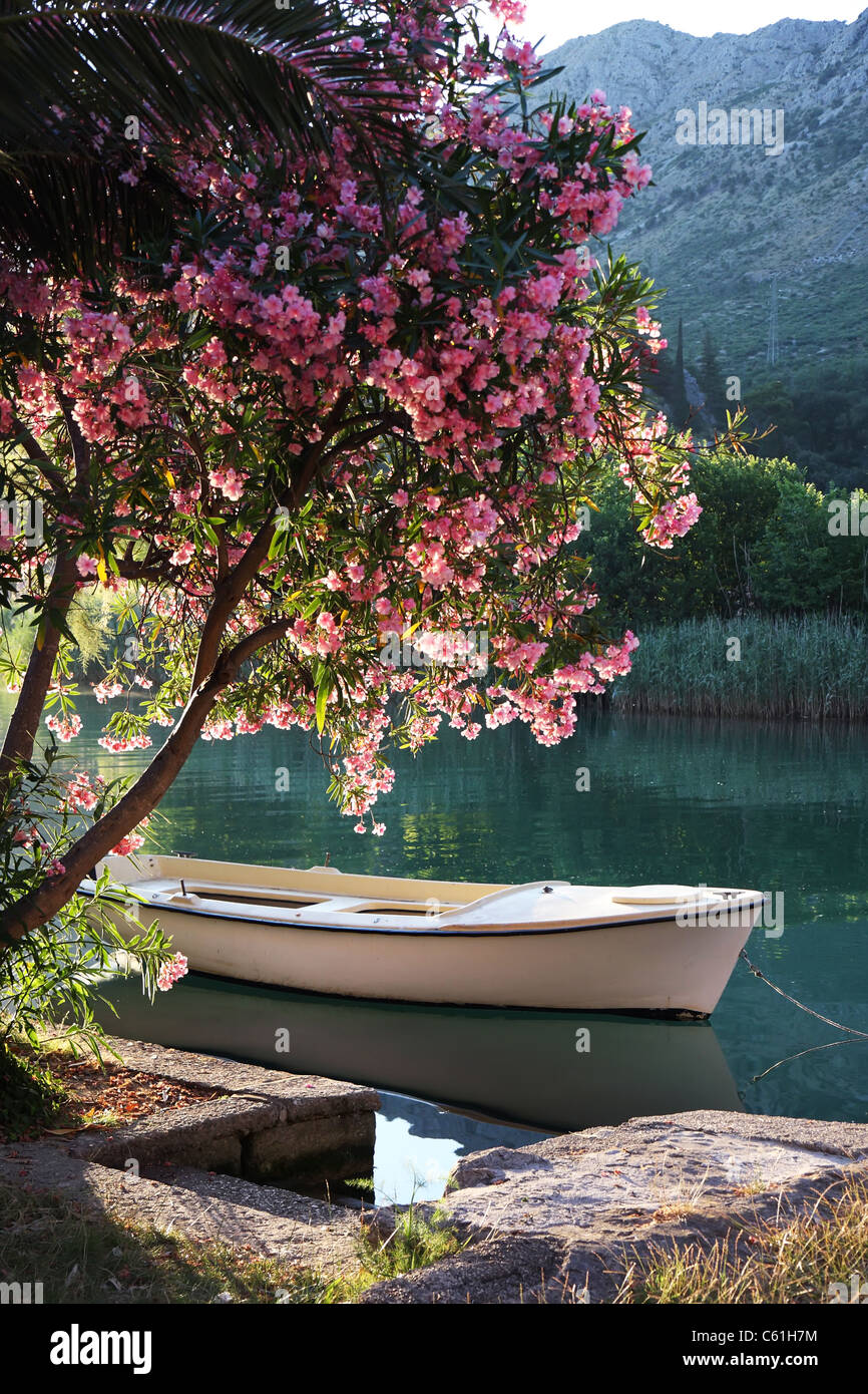 Boat on Ombla river near Rozat, Croatia Stock Photo - Alamy
