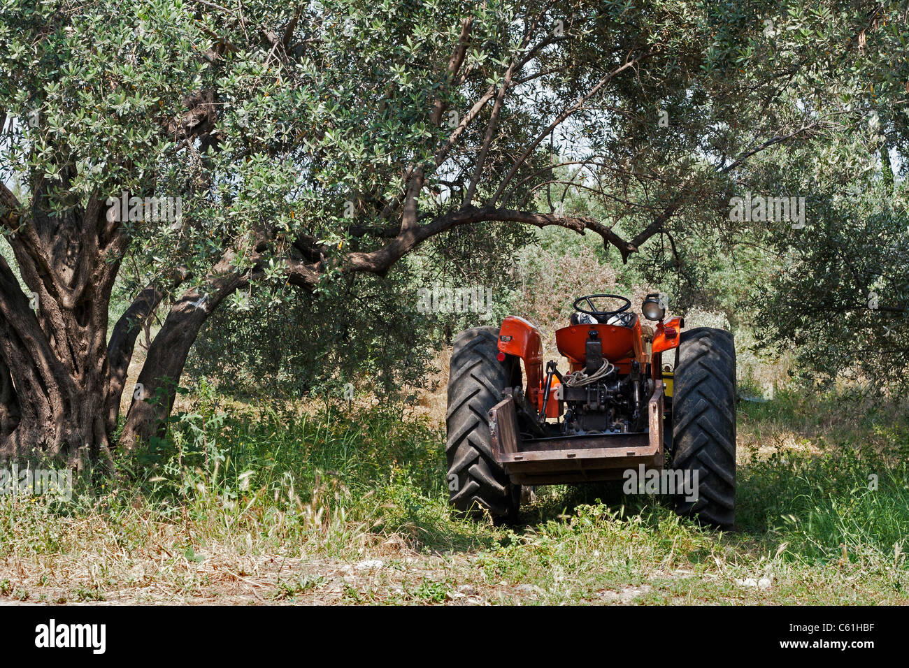 Old rusty tractor wheel tyre hi-res stock photography and images - Alamy