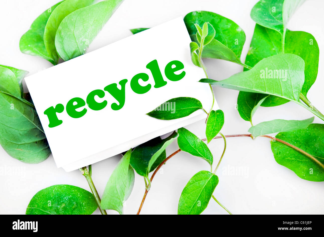 Recycled plant label hi-res stock photography and images - Alamy