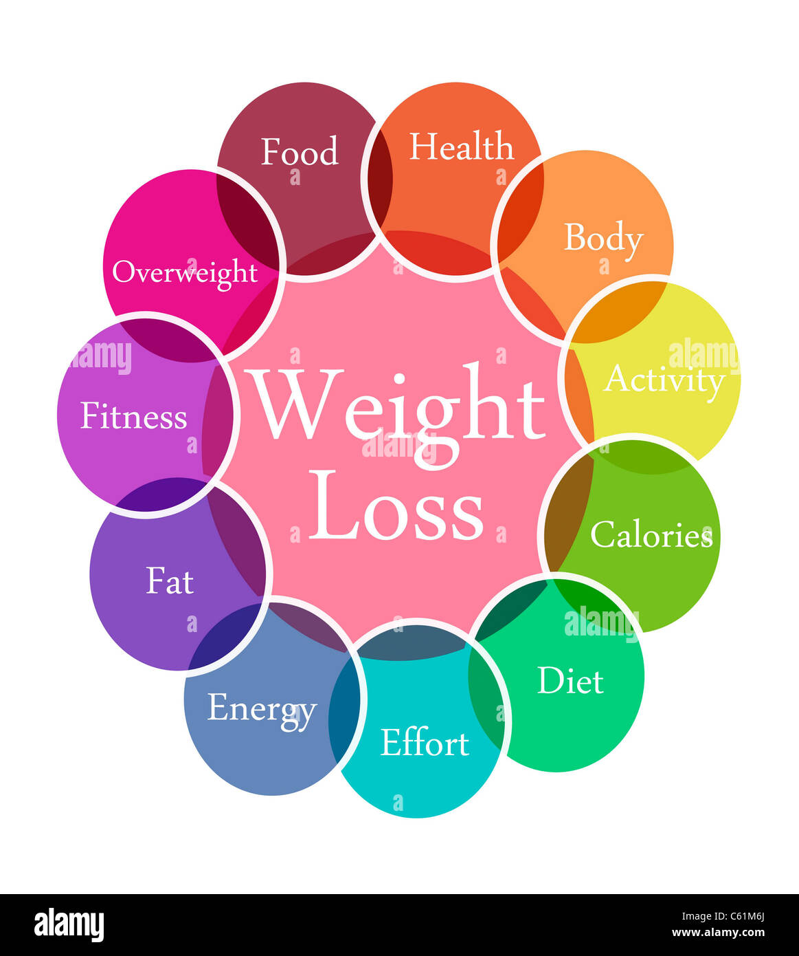 Color diagram illustration of Weight Loss Stock Photo - Alamy