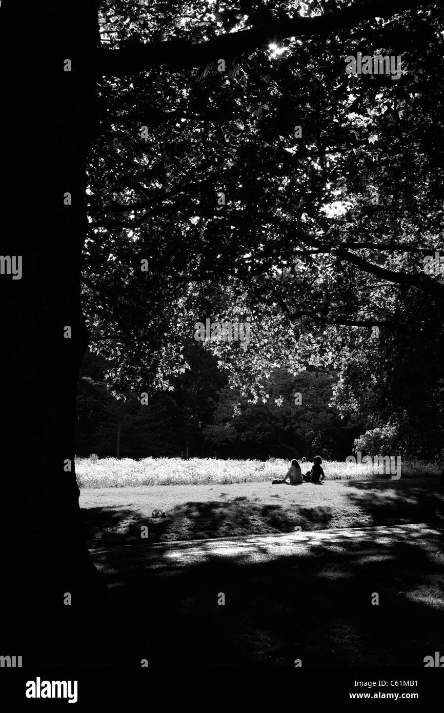 St james park london summer Black and White Stock Photos & Images - Alamy