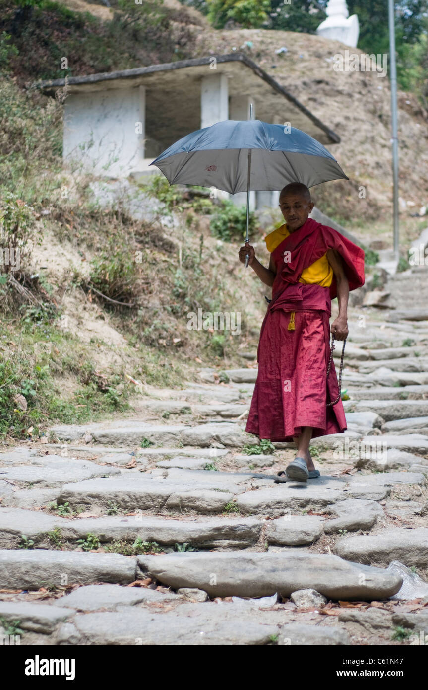 Descending stone stairs hi-res stock photography and images - Alamy