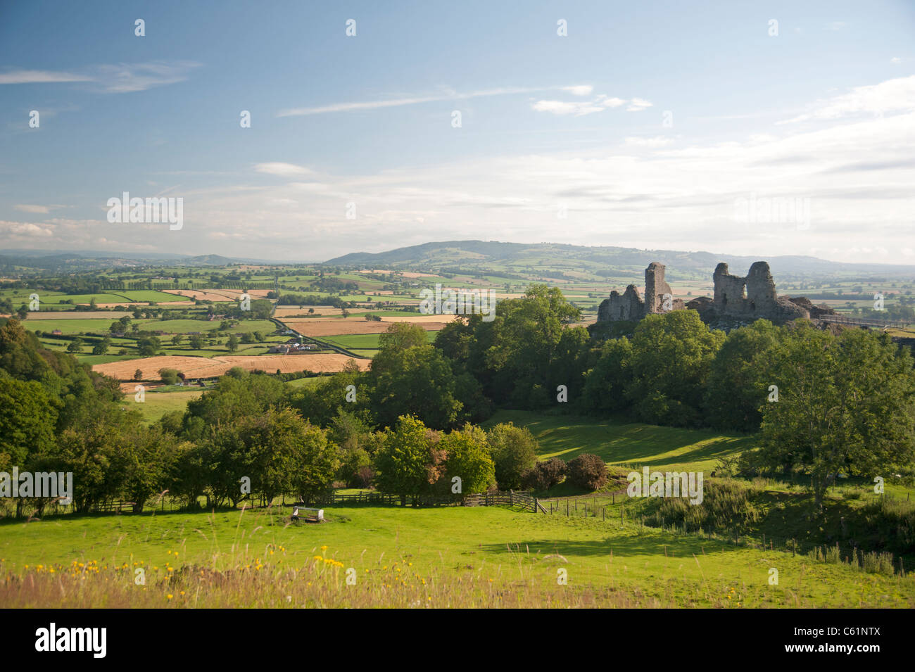 Hen domen castle hi-res stock photography and images - Alamy