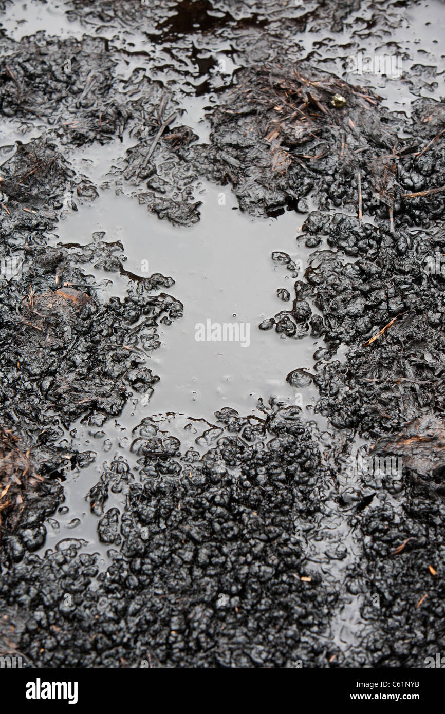 Liquid leaching from a manure pile hi-res stock photography and images ...