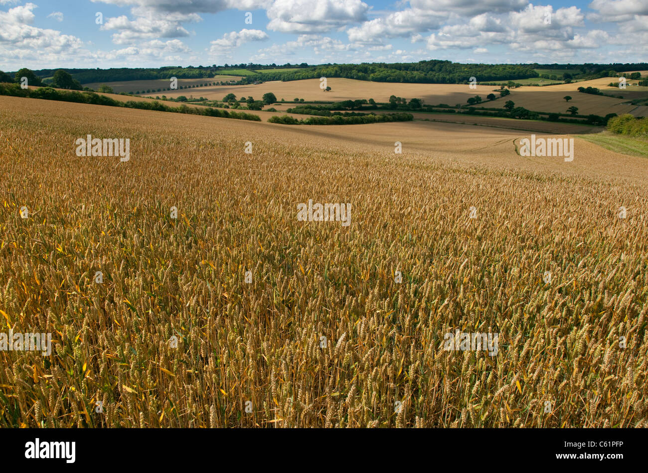 Gade valley hi-res stock photography and images - Alamy