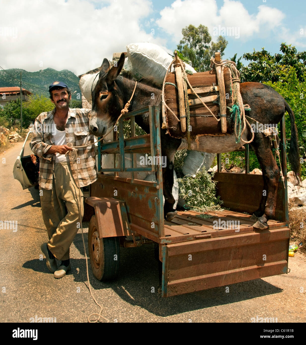 Donkey car transport South Turkey Farmer Turkish between Kas and ...