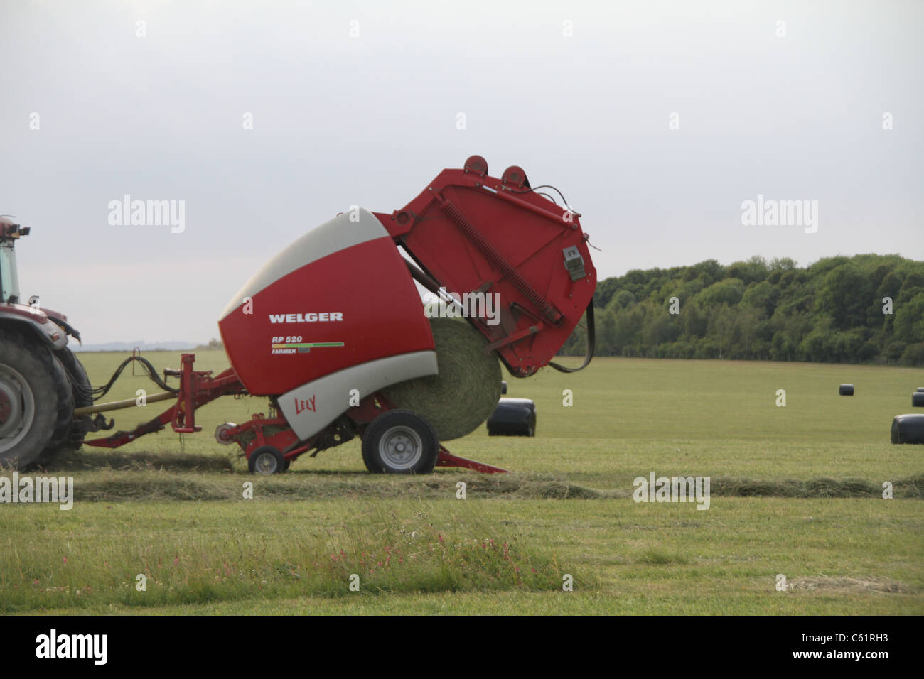 Baleing hi-res stock photography and images - Alamy