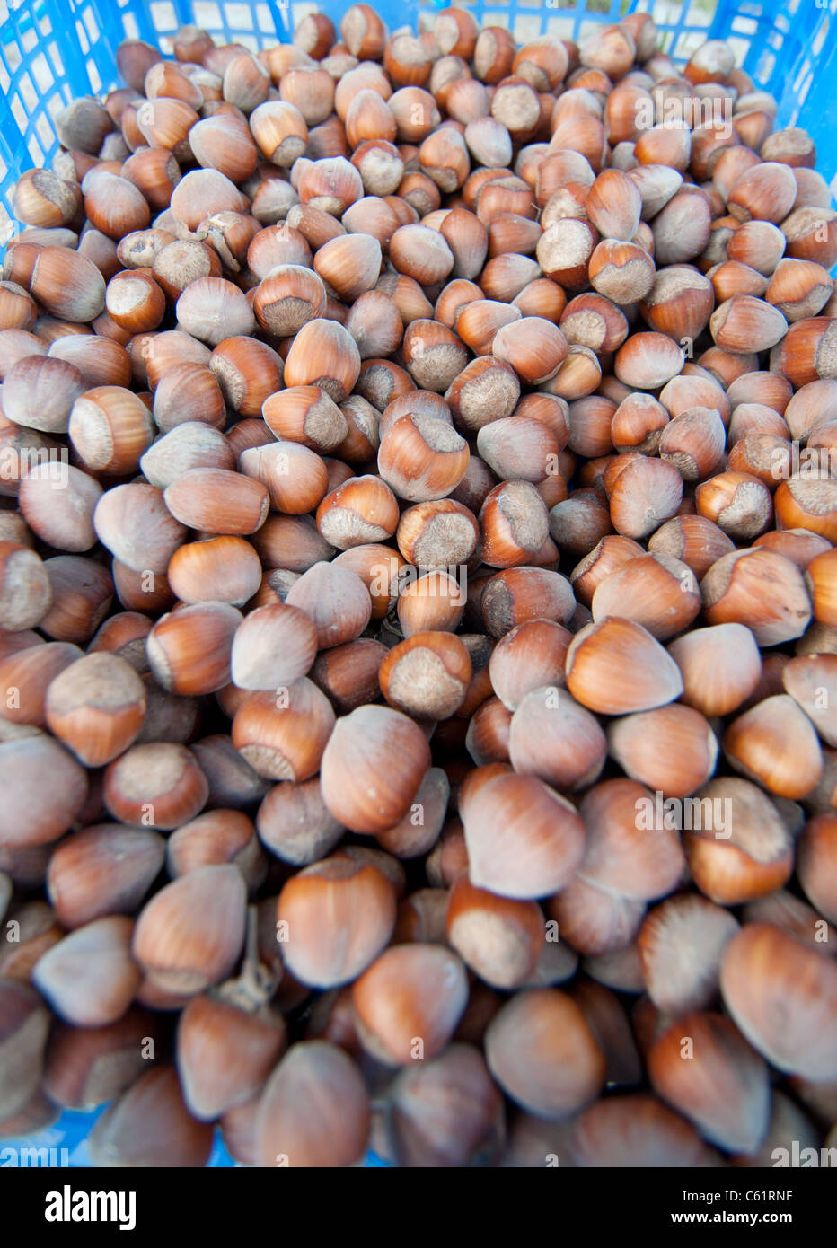 Large basket of nuts Stock Photo - Alamy