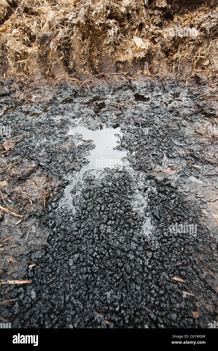 Leaching hi-res stock photography and images - Alamy