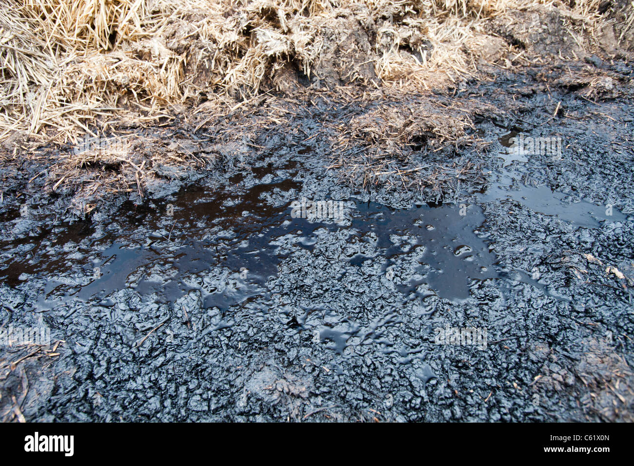 Leachate hi-res stock photography and images - Alamy