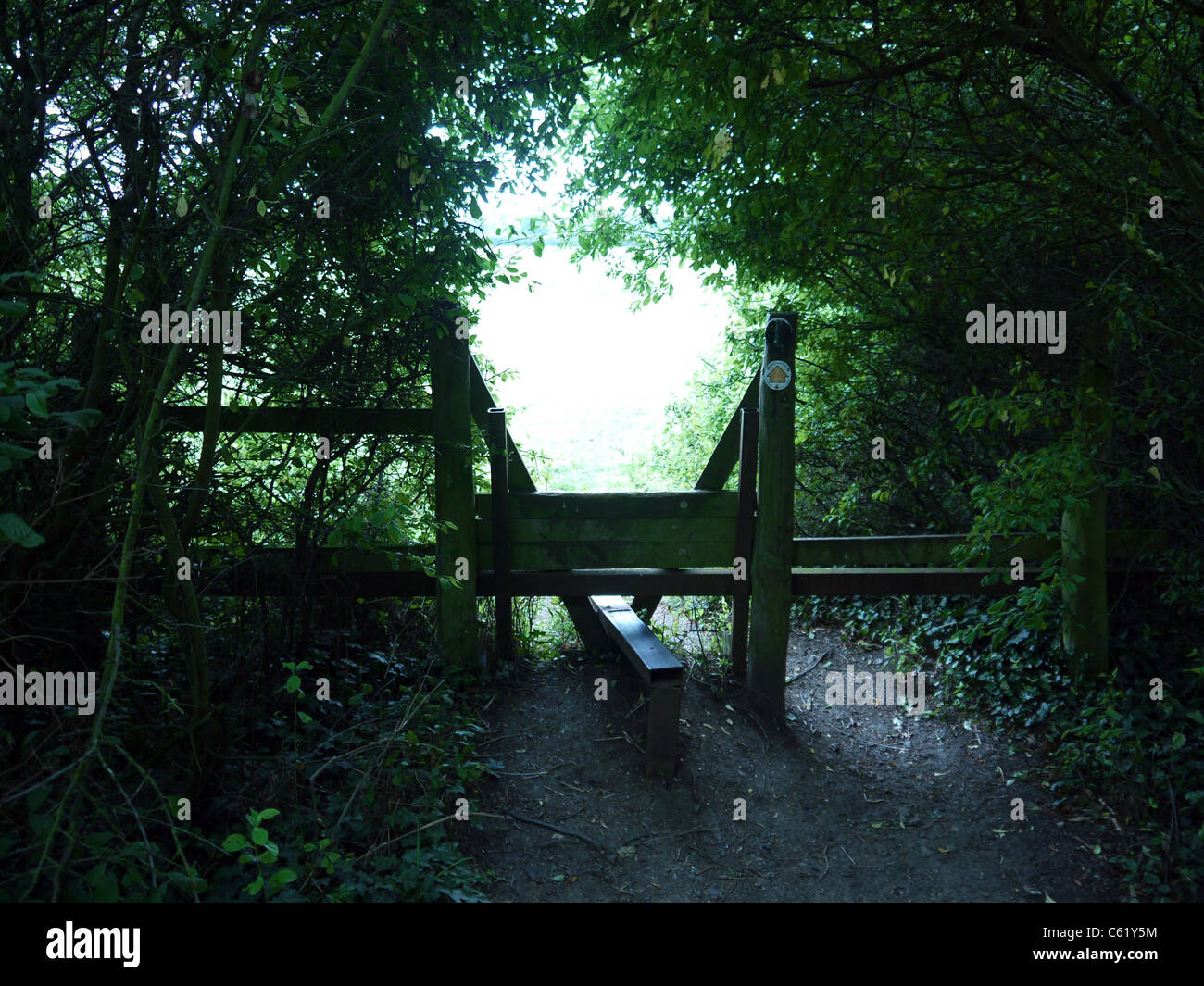 Dark silhouette framing open fields lit by sunlight Stock Photo - Alamy