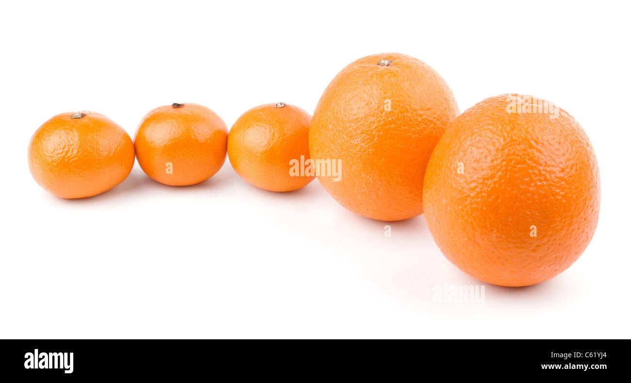 Oranges and tangerines in row isolated on white background Stock Photo ...