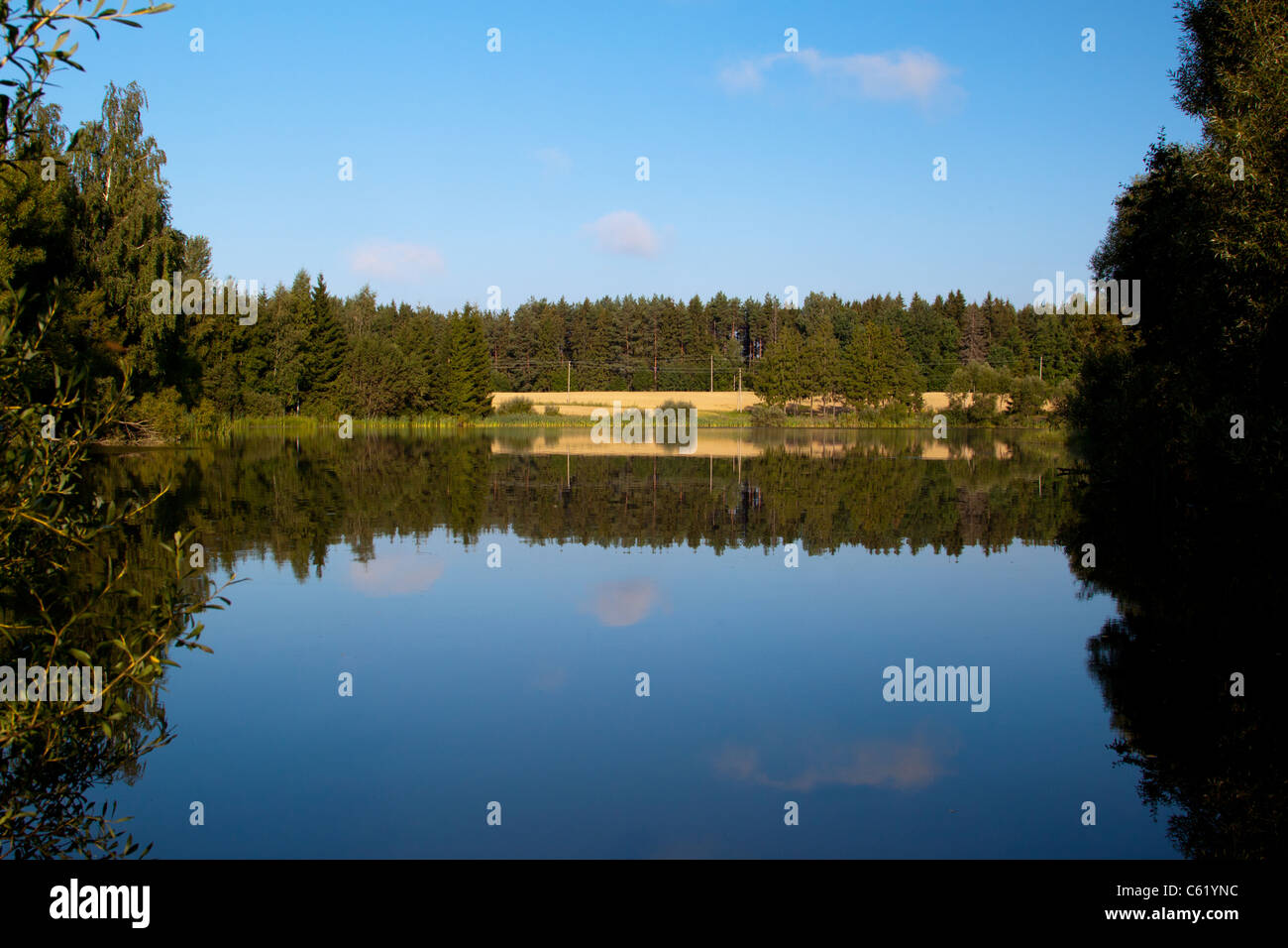Clear reflection trees hi-res stock photography and images - Alamy