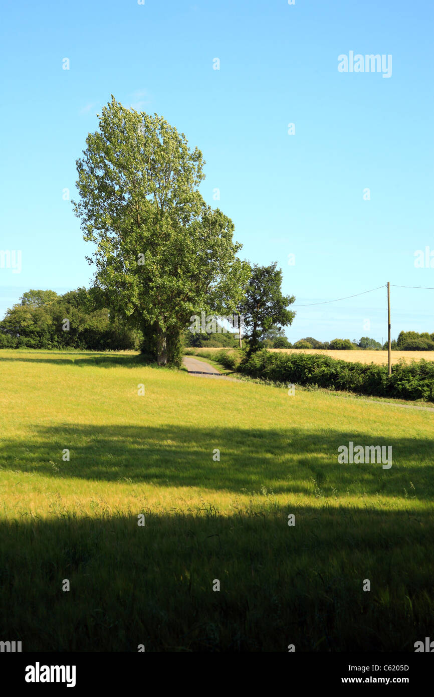 Kent countryside uk hi-res stock photography and images - Alamy