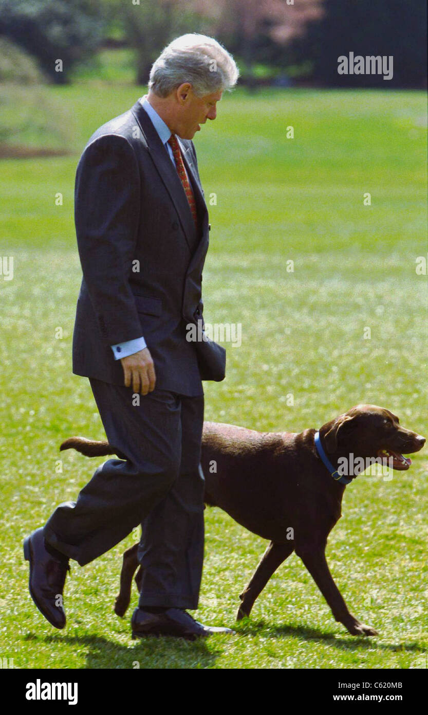President Bill Clinton walks with his dog Buddy Stock Photo - Alamy