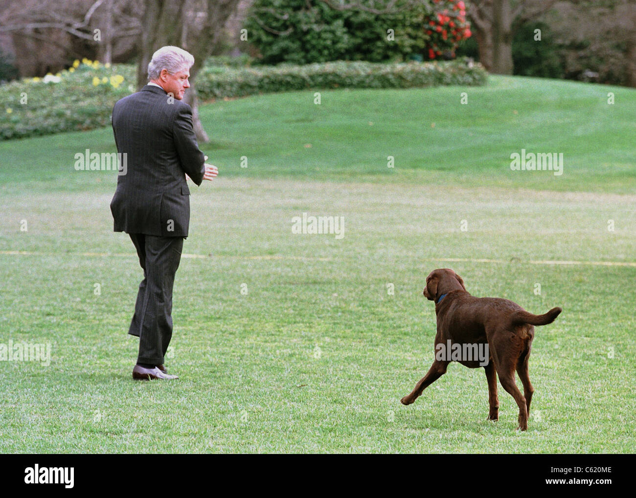 President Bill Clinton calls to his dog Buddy Stock Photo - Alamy