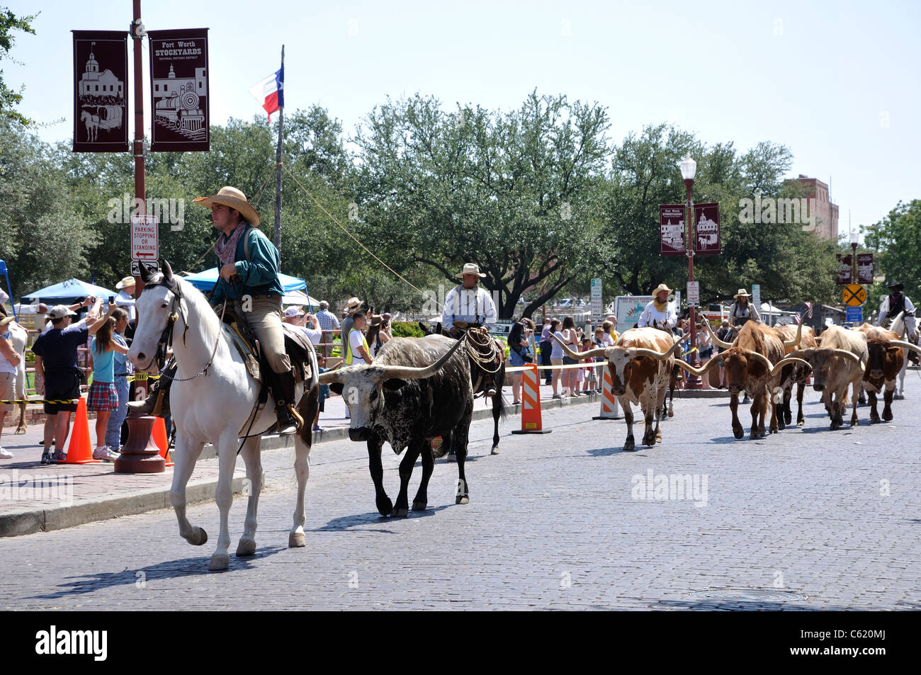 Cattle drive cowboys stockyards in hi-res stock photography and images ...
