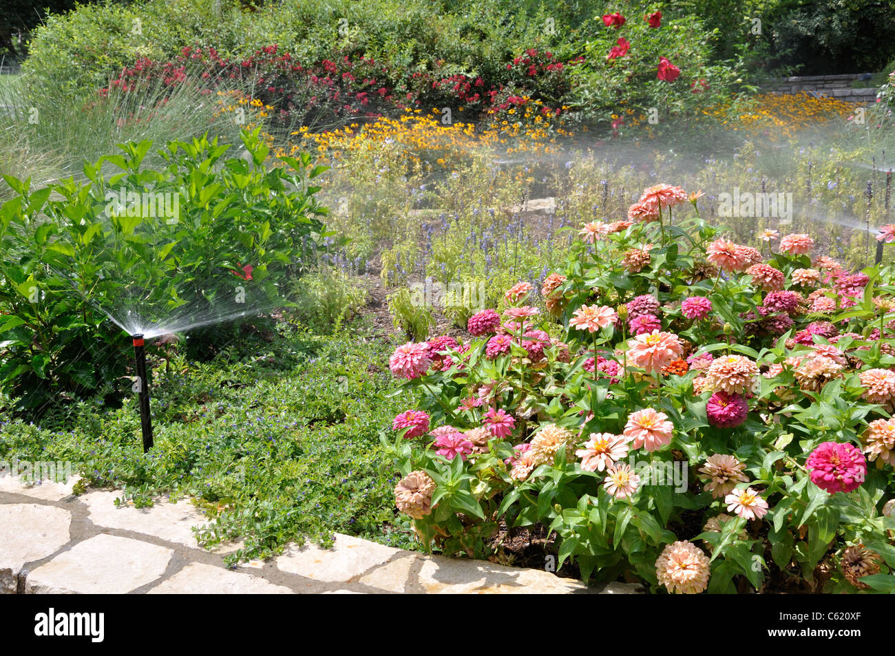Garden being watered Stock Photo - Alamy
