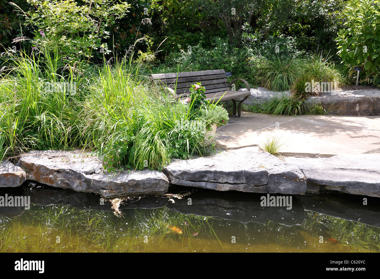 Botanic fish hi-res stock photography and images - Alamy