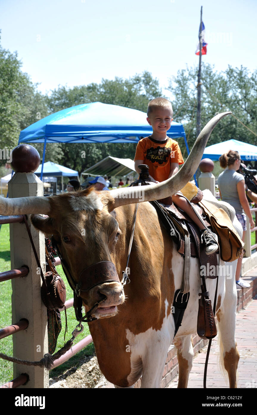 American longhorn hi-res stock photography and images - Alamy