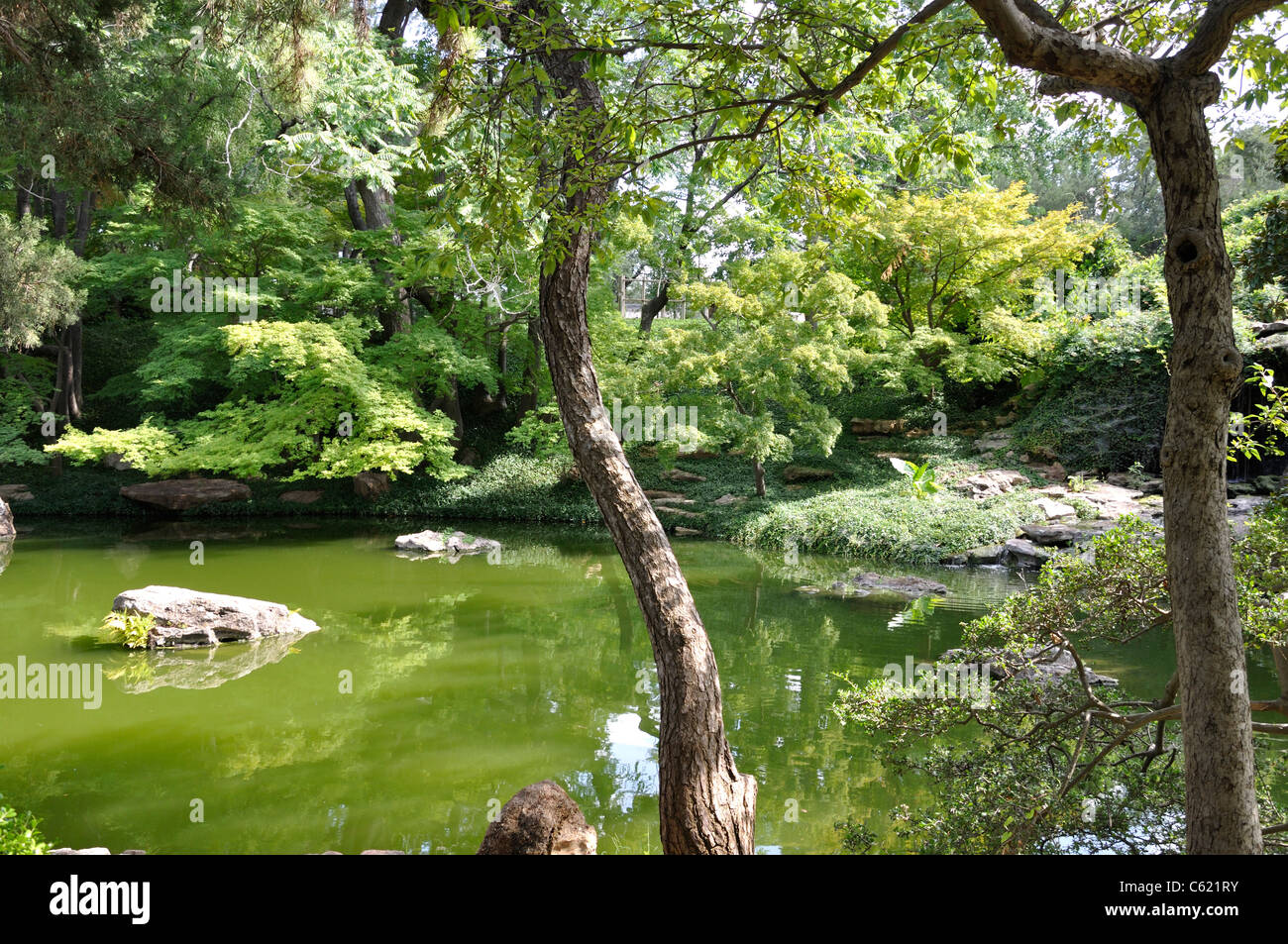 Japanese Garden, Fort Worth, Texas, USA Stock Photo - Alamy