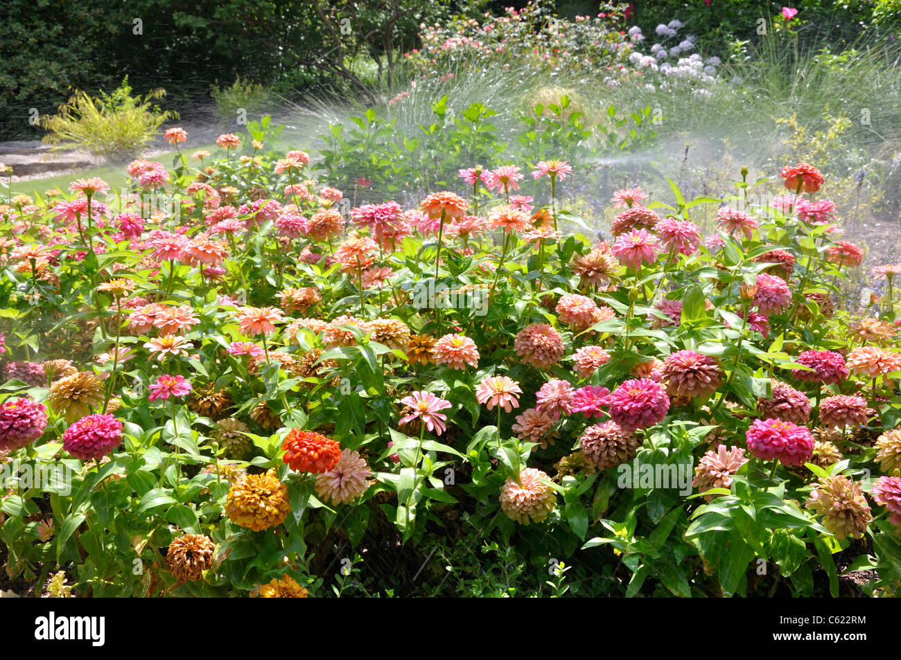 Garden being watered hi-res stock photography and images - Alamy