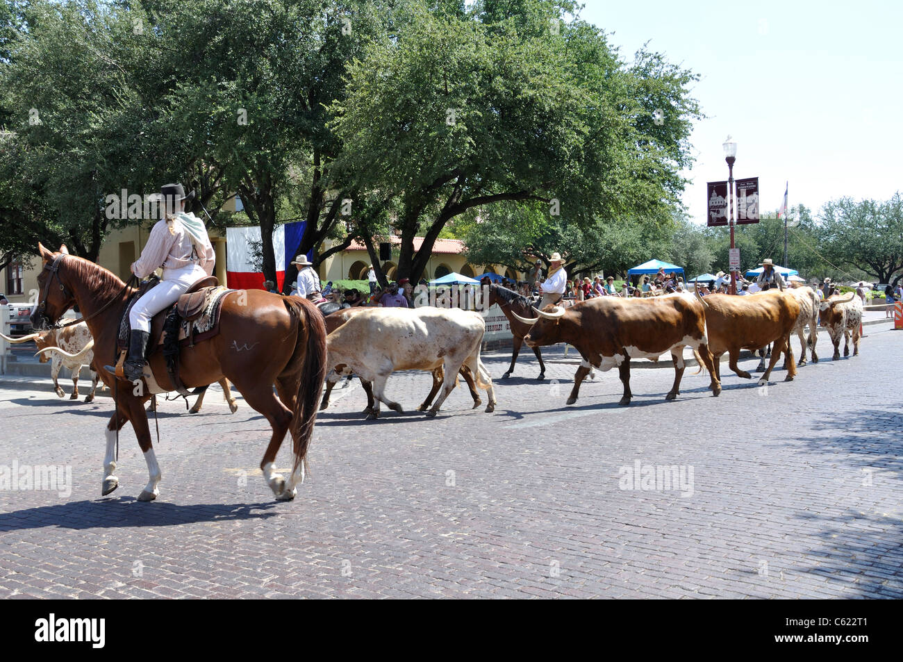 Cattle drive cowboys stockyards in hi-res stock photography and images ...
