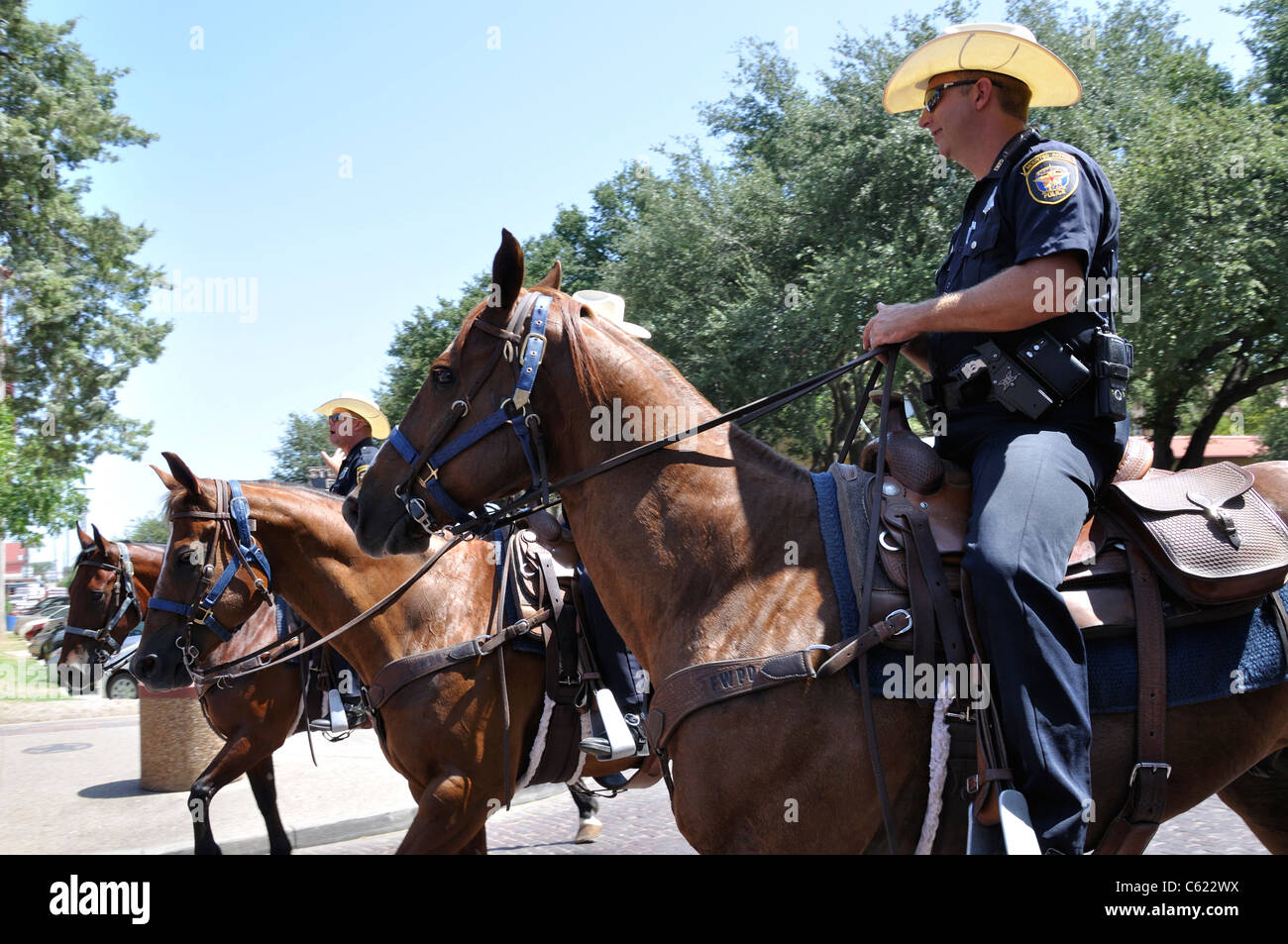 Texas police horse hi-res stock photography and images - Alamy