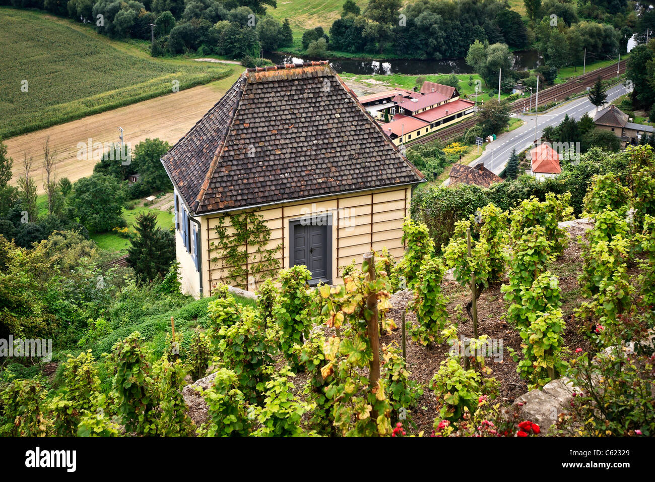Dorndorf, vinyards, one of Europe's Northern-most wine producing ...
