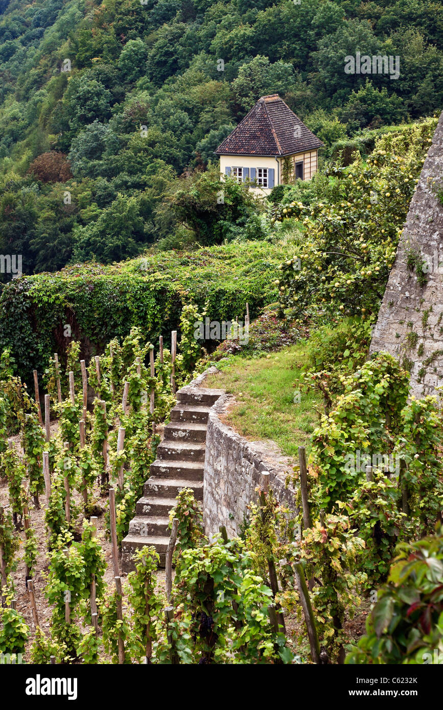 Dorndorf, vinyards, one of Europe's Northern-most wine producing ...