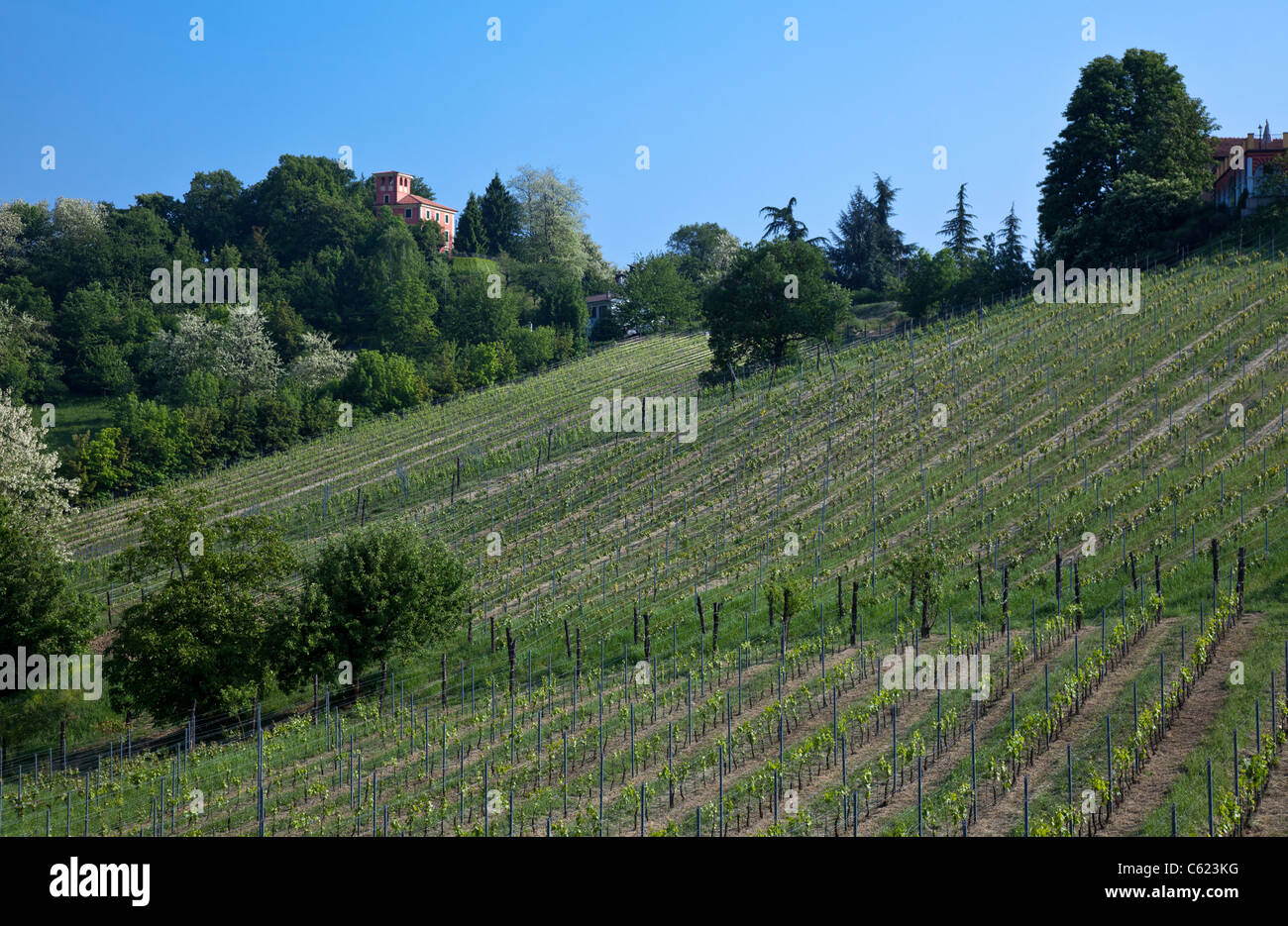 Monterotondo hi-res stock photography and images - Alamy