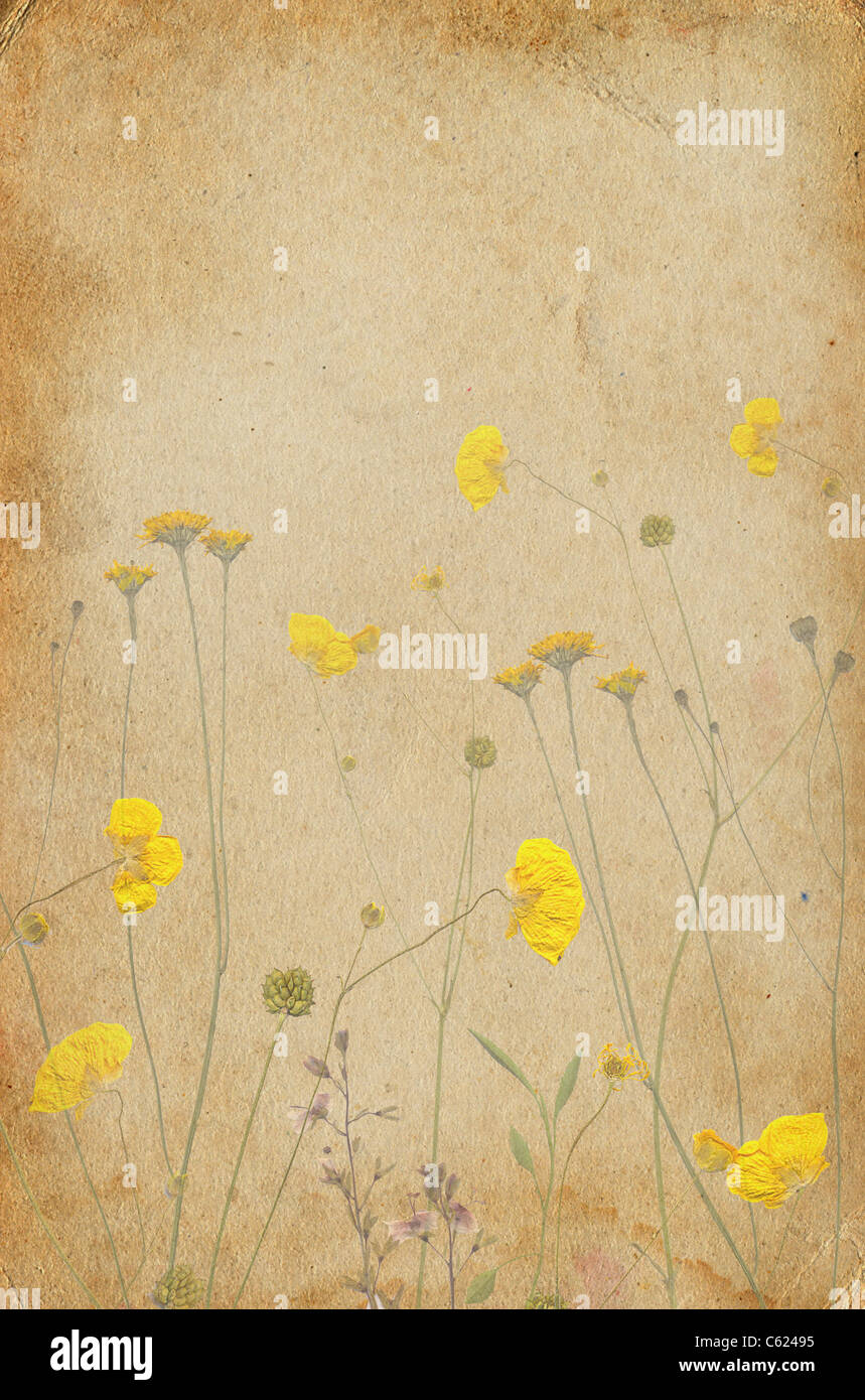 Old paper flowers hi-res stock photography and images - Alamy