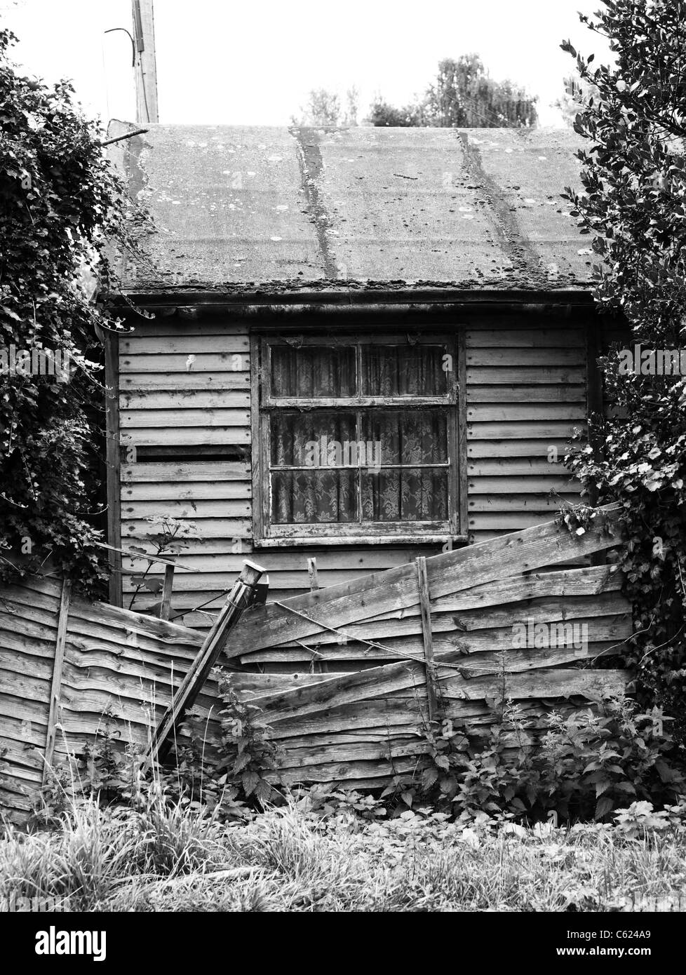 Old shack in mono Stock Photo - Alamy