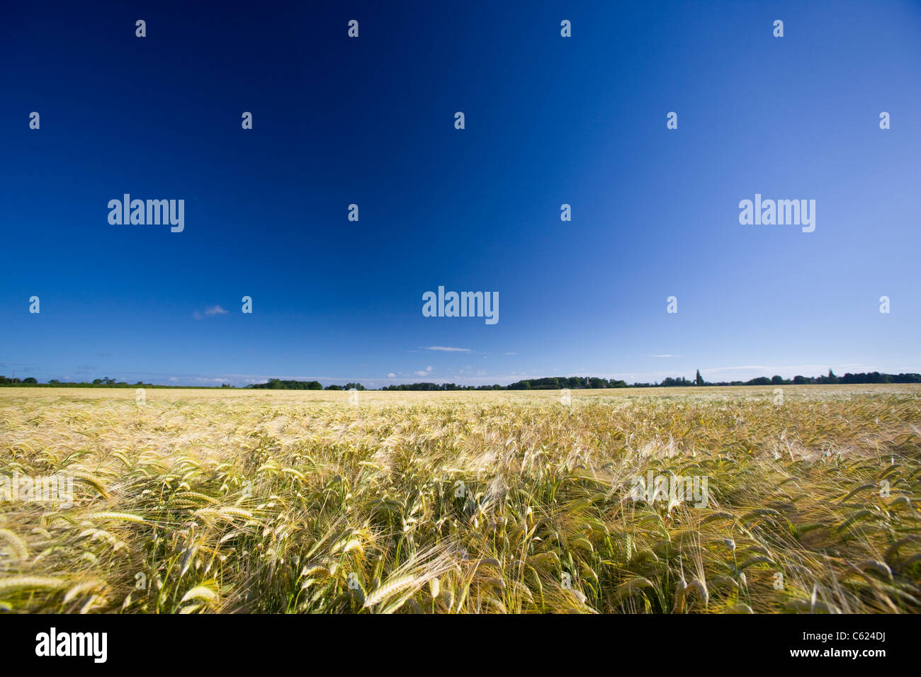 High field hi-res stock photography and images - Alamy