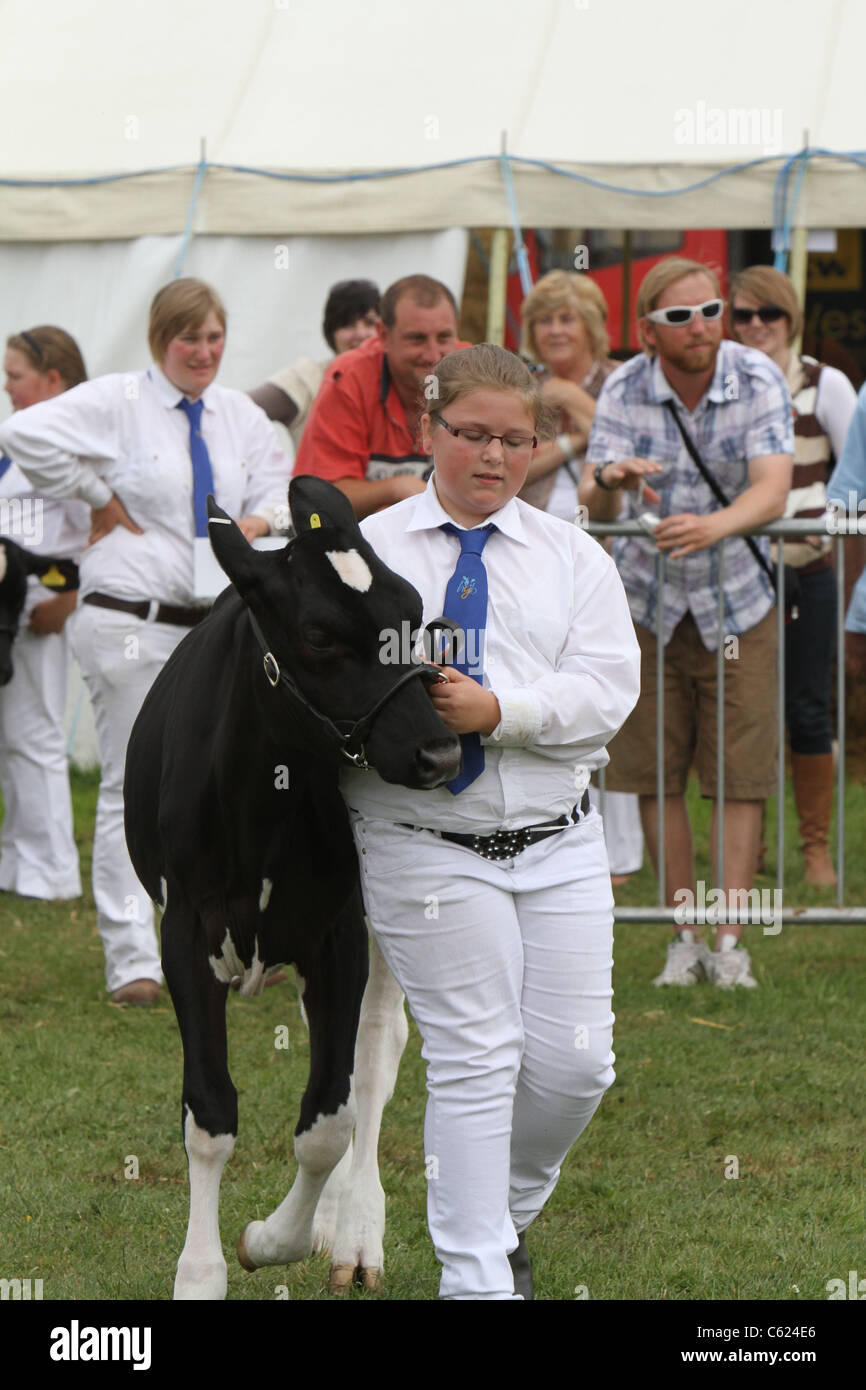 Children show cow hi-res stock photography and images - Alamy