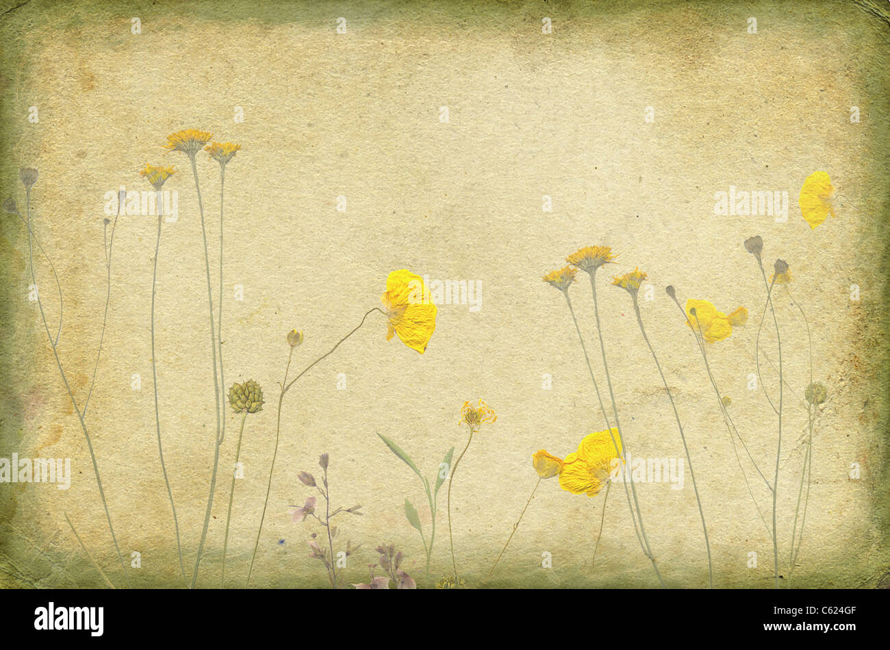 Old paper with flowers Stock Photo - Alamy