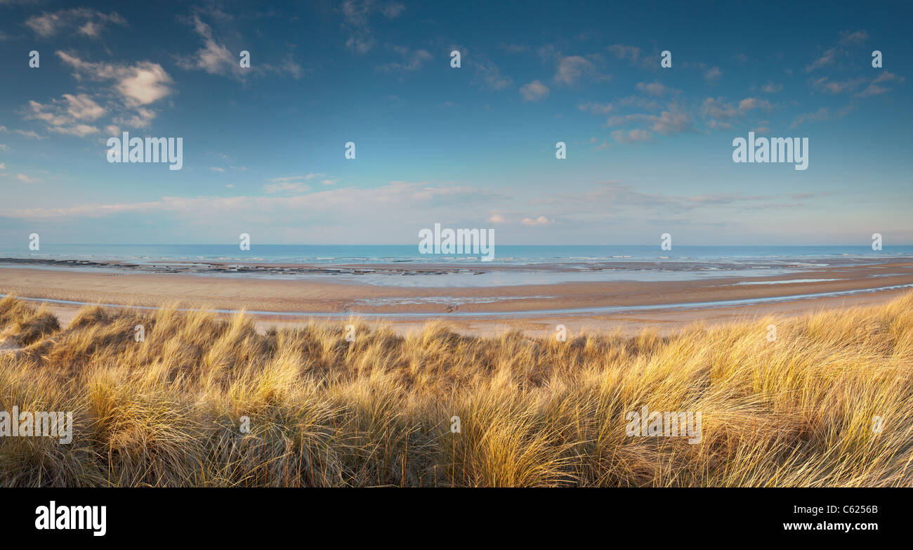 Holme dune nature reserve hi-res stock photography and images - Alamy