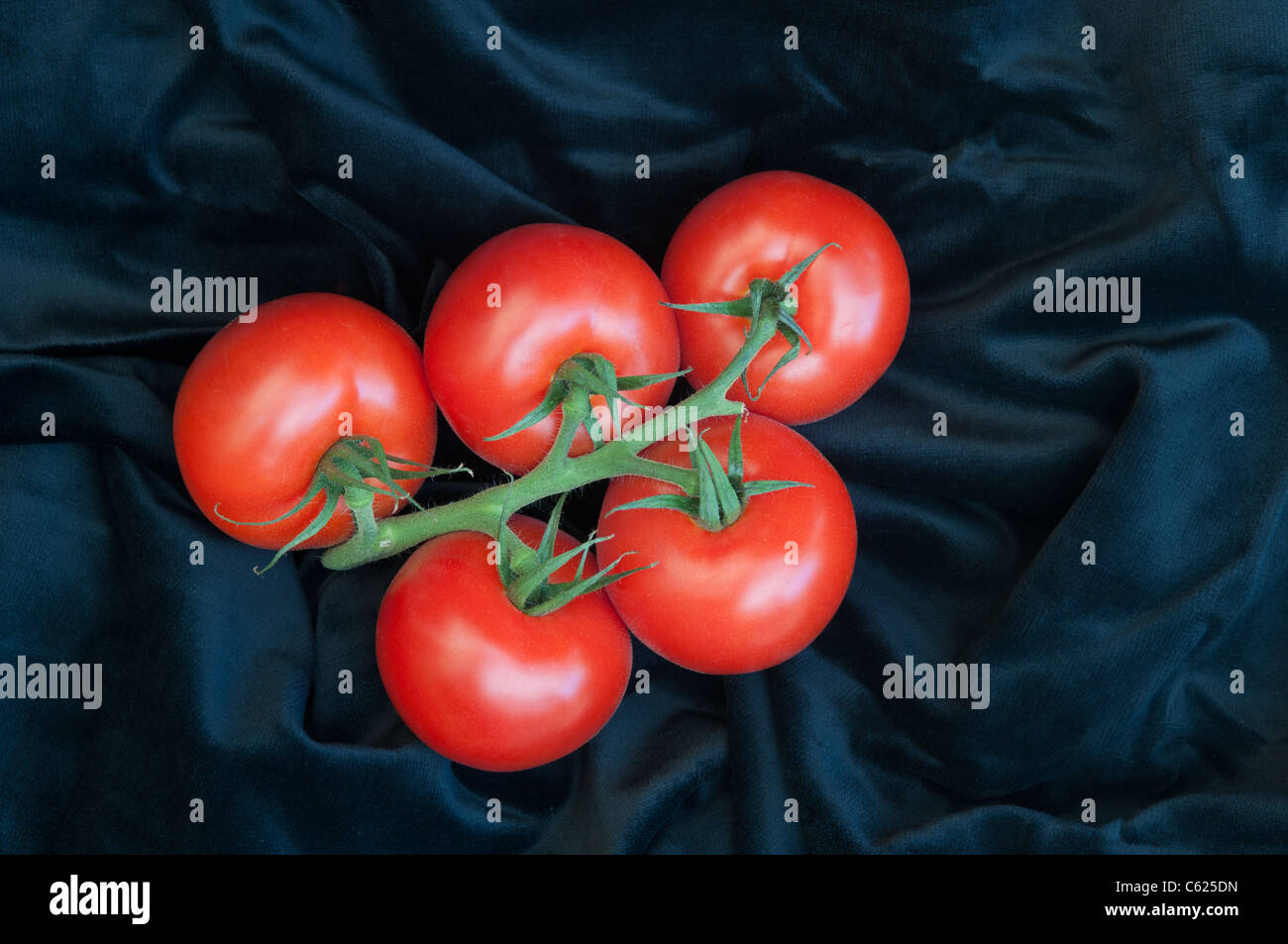 Velvet vine hi-res stock photography and images - Alamy