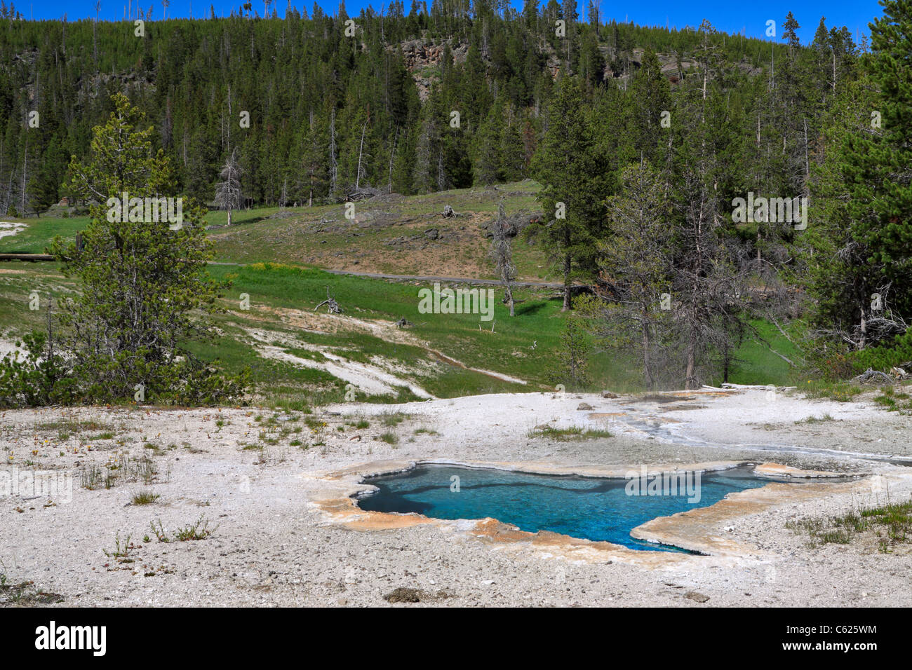Yellowstone thermal spring hi-res stock photography and images - Alamy