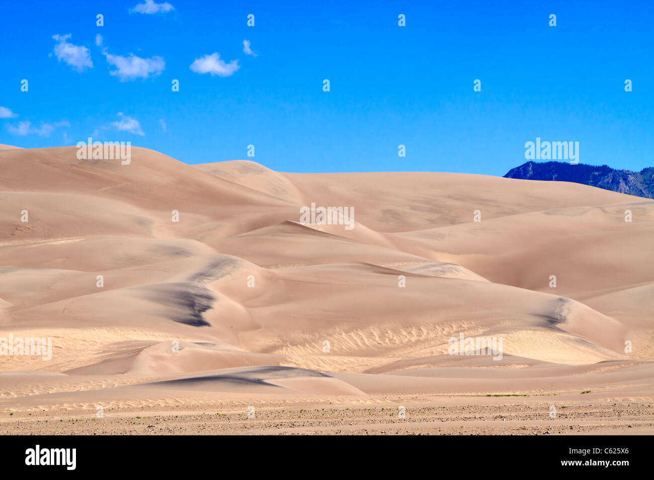 Where Is The Great Sandy Desert