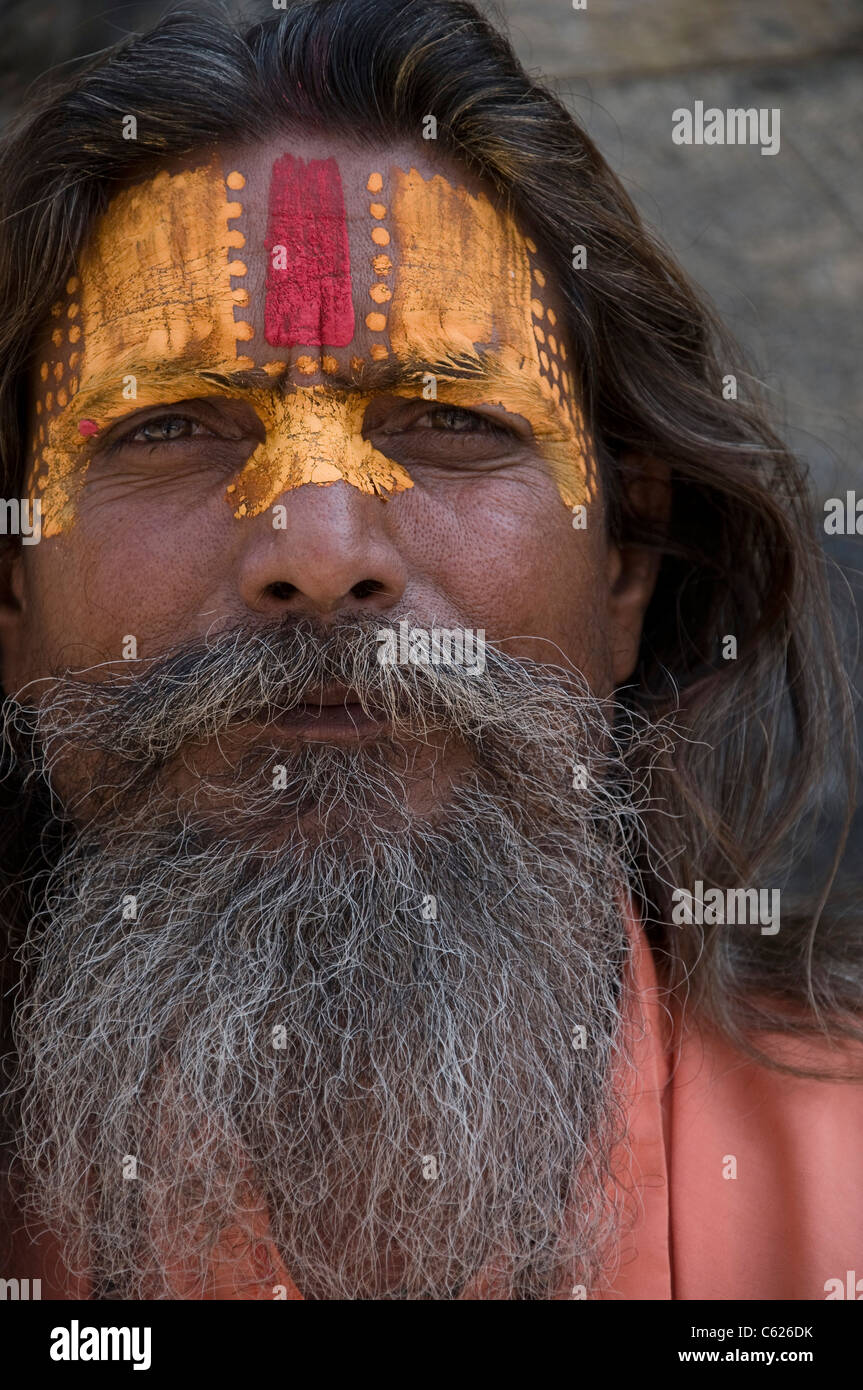 Sadhus in the himalayas hi-res stock photography and images - Alamy