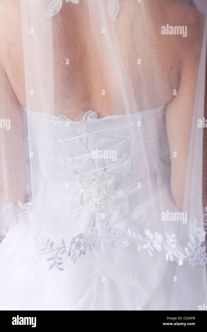Bride's back under the veil Stock Photo - Alamy