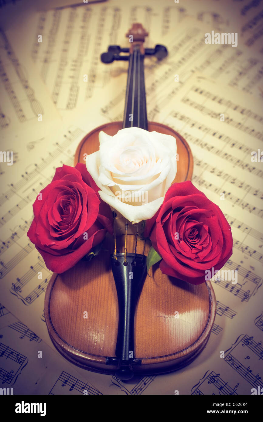 old violin with musical notes and roses closeup Stock Photo - Alamy