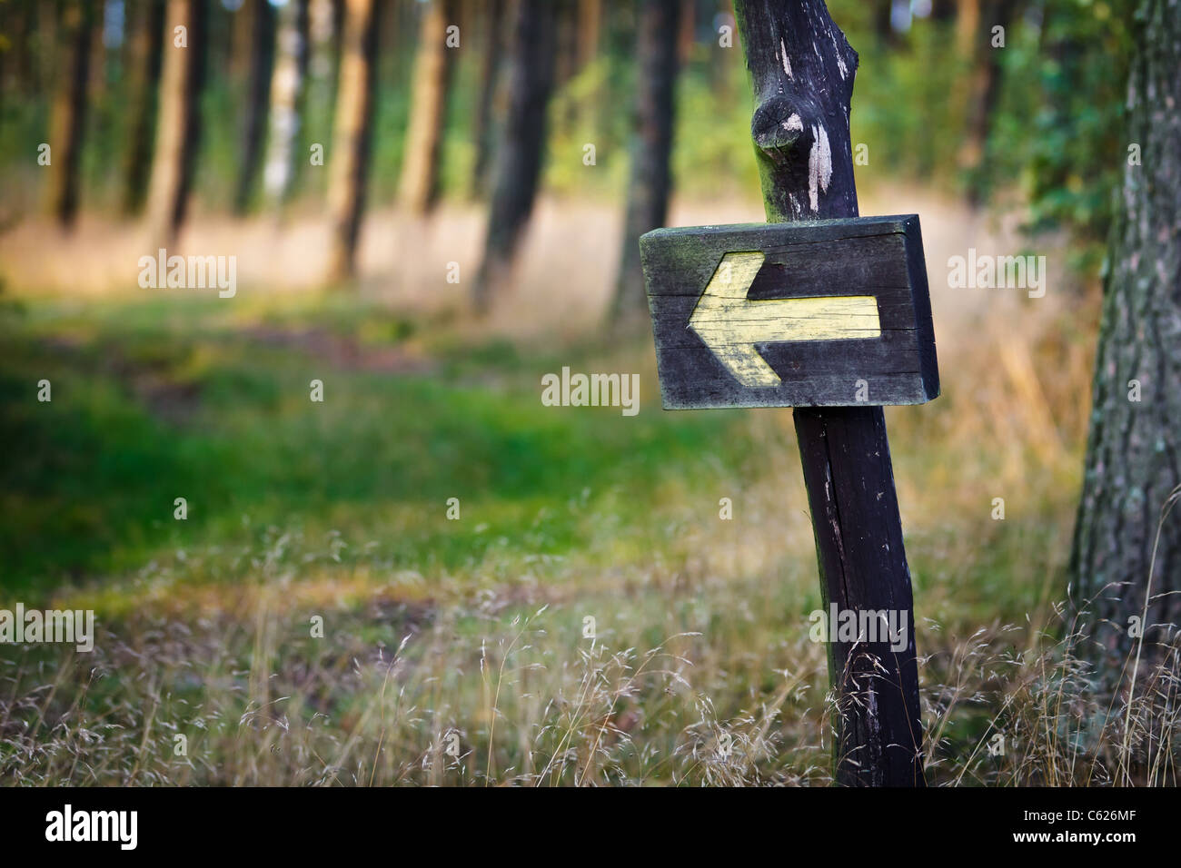 Yellow sign in the forest Stock Photo - Alamy