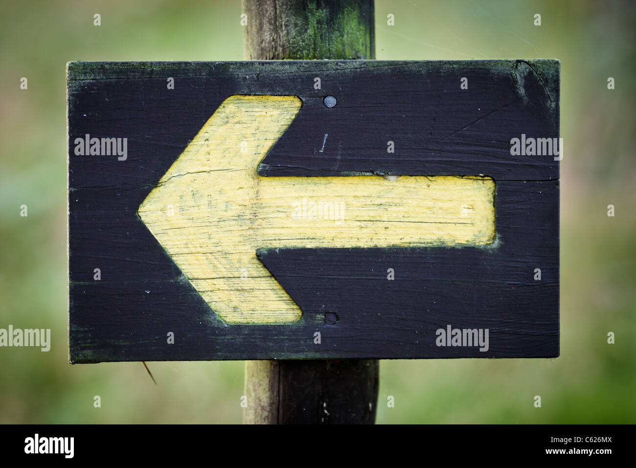 Yellow directional sign in forest Stock Photo - Alamy